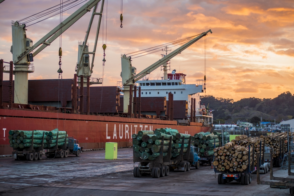 Gisborne port to invest in region’s economic growth - Asia Pacific ...