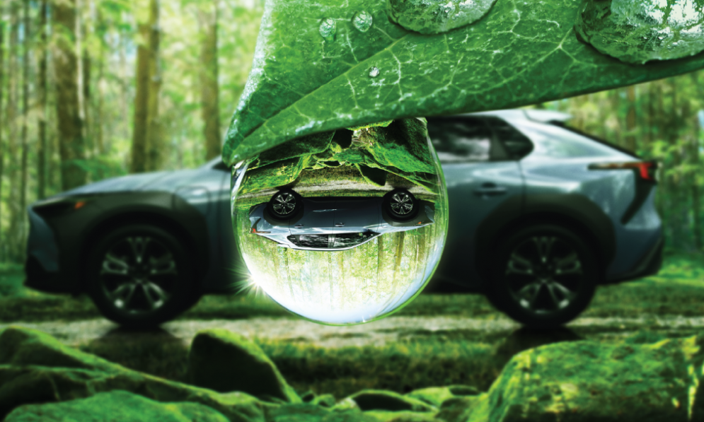 Powering EVs with trees - Asia Pacific Infrastructure