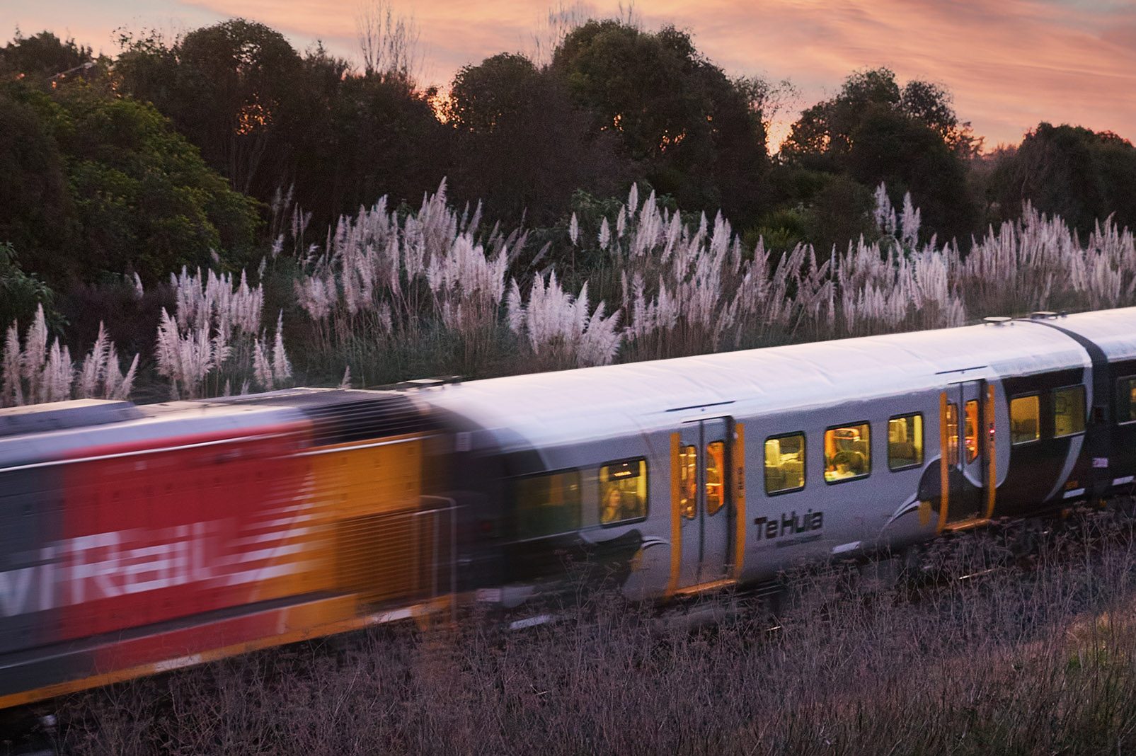 Te Huia train fails to stop — is its ban from Auckland justified ...